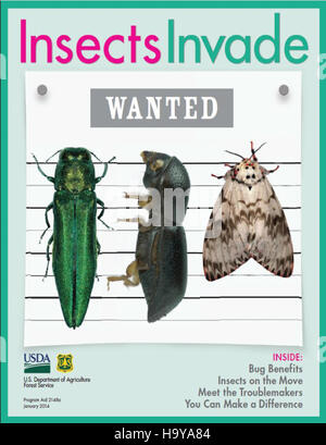 This illustration shows the impact of insect pests on fruit crops ...