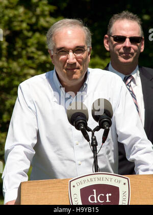 This image shows the Asian Longhorn Beetle (ALB), an invasive species ...