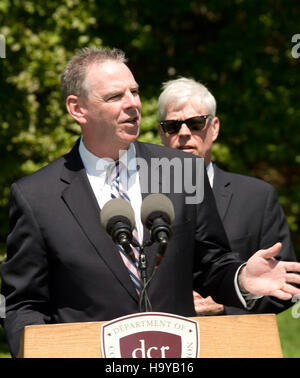 This image shows the Asian Longhorn Beetle (ALB), an invasive species ...