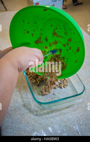 The USDA's Food Distribution on Indian Reservation Program (FDPIR ...