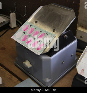 Rose Bengal card test for brucellosis Rose Bengal card test for ...