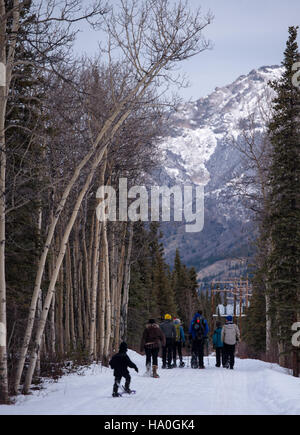 Visitors enjoy snowshoeing at Denali National Park's Mountain Vista ...