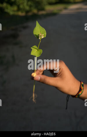 The USDA’s Conservation Plan promotes sustainable farming practices ...