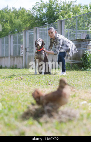 dedicated girl training dog in kennel Stock Photo - Alamy