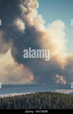 The Spruce Fire in Yellowstone National Park, observed from Dunraven ...