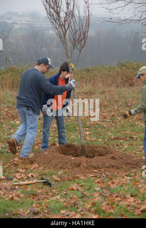 A tree planting event at Valley Forge National Park in 2008, focused on ...