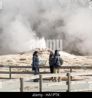 Tourists viewing wildlife in Yellowstone National Park, USA Stock Photo ...