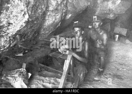 This image shows the Civilian Conservation Corps (CCC) enclosures built ...
