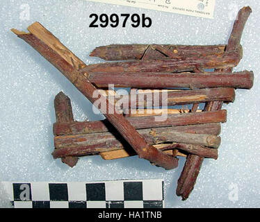 The Split-Twig Figurine, discovered at Grand Canyon National Park, is ...