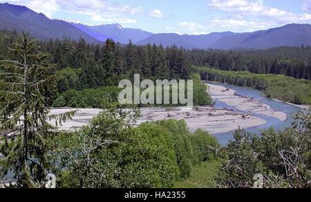 Queets Robert Van Pelt Stock Photo - Alamy