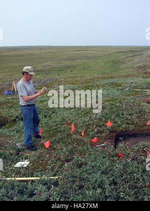 The Bering Land Bridge is an archaeological site known for its ...