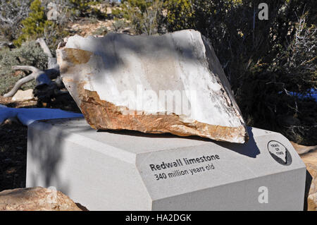 Grand Canyon Trail of Time Redwall limestone . The Trail of Time is an ...
