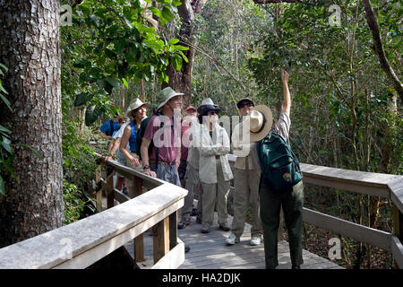 Ranger-guided walks in the Everglades National Park offer visitors a ...