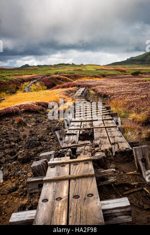 Hiking road disappearing into the distance. Autumn scenery with nature ...