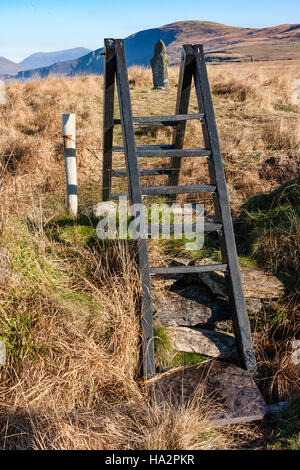 Standing stones near St Brendan's Well, Valentia Island, County Kerry ...