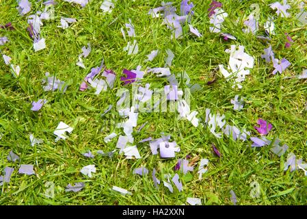 Confetti on grass lawn Stock Photo - Alamy