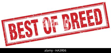 best of breed stamp. best of breed square grunge red sign Stock Vector ...