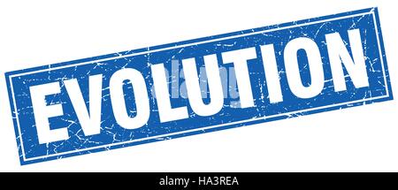 evolution square stamp Stock Vector Image & Art - Alamy