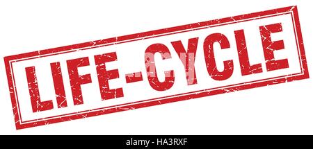 life-cycle square stamp. life-cycle grunge sign set Stock Vector Image ...