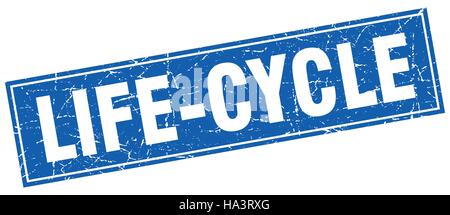 life-cycle square stamp. life-cycle grunge sign set Stock Vector Image ...