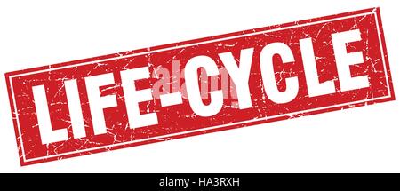 life-cycle square stamp Stock Vector Image & Art - Alamy