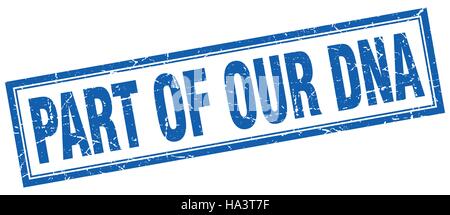 part of our dna stamp. square grunge sign isolated on white background ...