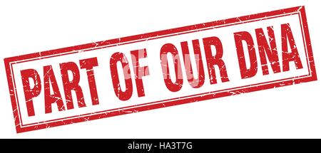 part of our dna stamp. square grunge sign isolated on white background ...