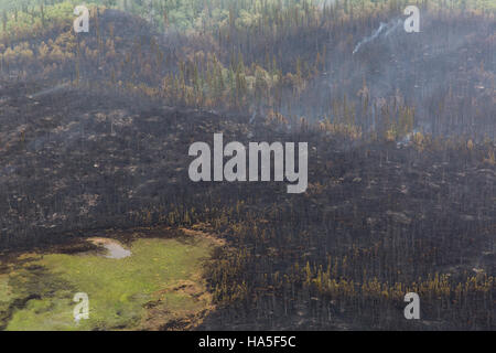 The Currant Creek Fire, captured by NPS photographer Yasunori Matsui ...