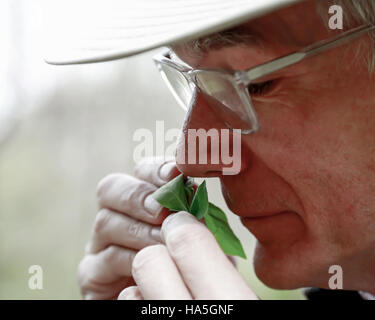 The Oak Ridge Reservation’s old-growth forest is a critical ecological ...