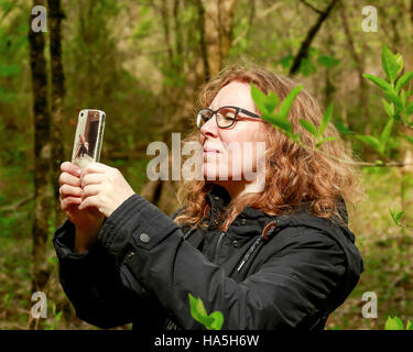 The Oak Ridge Reservation features an old-growth forest, an important ...