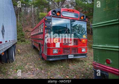 Thomas Built Buses 1 Stock Photo: 126750537 - Alamy