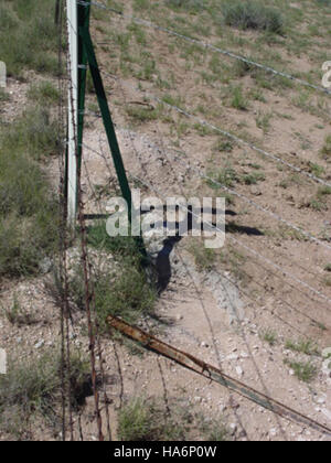 The Sevilleta National Wildlife Refuge (NWR) in New Mexico supports ...