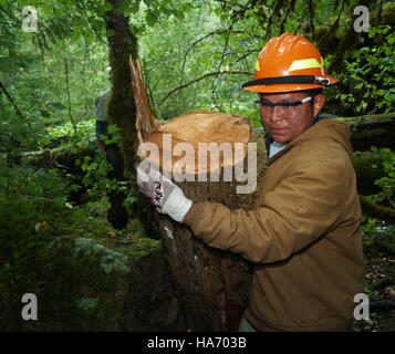 The Lake Job Corps Timber Program provides job training and education ...
