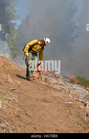 An image captured by the Bureau of Land Management showing a historic ...
