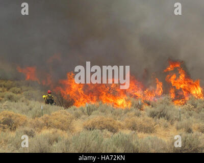 The Tahoe Hotshots, a specialized wildfire suppression crew, operate in ...