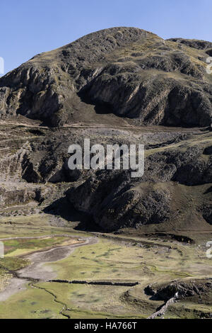 Farms of llamas and alpacas in the Peruvian highlands. Pasco, Peru ...