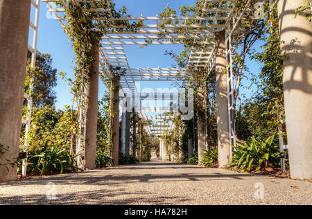 Rose garden trellis path with rose vines and a stone walkway Stock ...