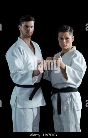 Two karate fighters performing karate stance Stock Photo - Alamy