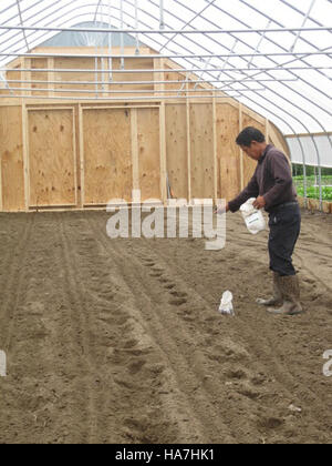This image shows a reforestation project in Maryland, showcasing young ...
