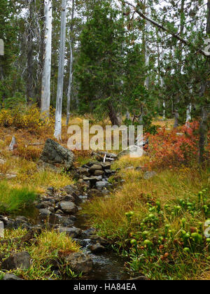 Wildflowers in national parks play a key role in supporting ...