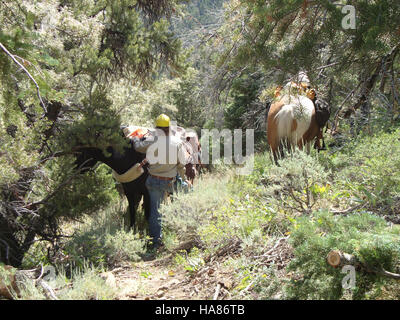 The Goshute Raptor Migration Area in Nevada serves as an important ...