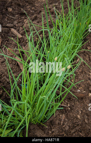 A USDA initiative aims to foster sustainable agriculture and ...