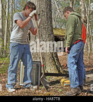 The Civilian Conservation Corps (CCC) played a significant role in the ...