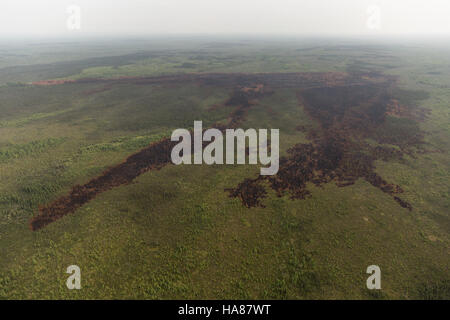 Chilchukabena Fire, Denali National Park Stock Photo - Alamy