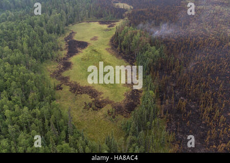 Moose Creek Fire, Denali National Park Stock Photo - Alamy