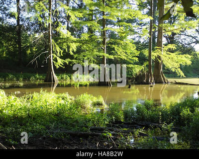 Battleshell Lake, Mingo National Wildlife Refuge Stock Photo - Alamy