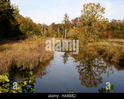 Cow Creek, Mingo National Wildlife Refuge. Cow Creek, Mingo National ...