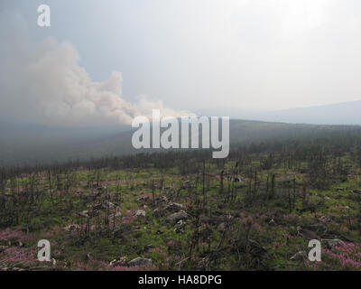 Castle Rock Fire, Denali National Park Stock Photo - Alamy