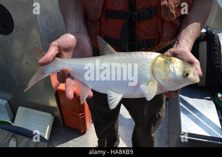 Earth Day - Earth Day Events , Environmental Protection Agency Stock ...