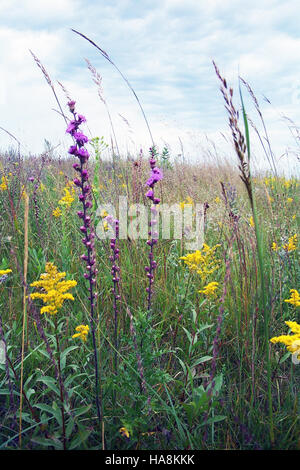 Northern Tallgrass Prairie National Wildlife Refuge is a significant ...